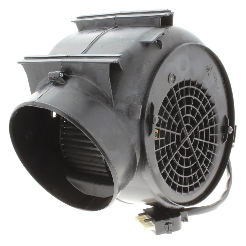 Motor J00284390 - Hotpoint - Hotpoint