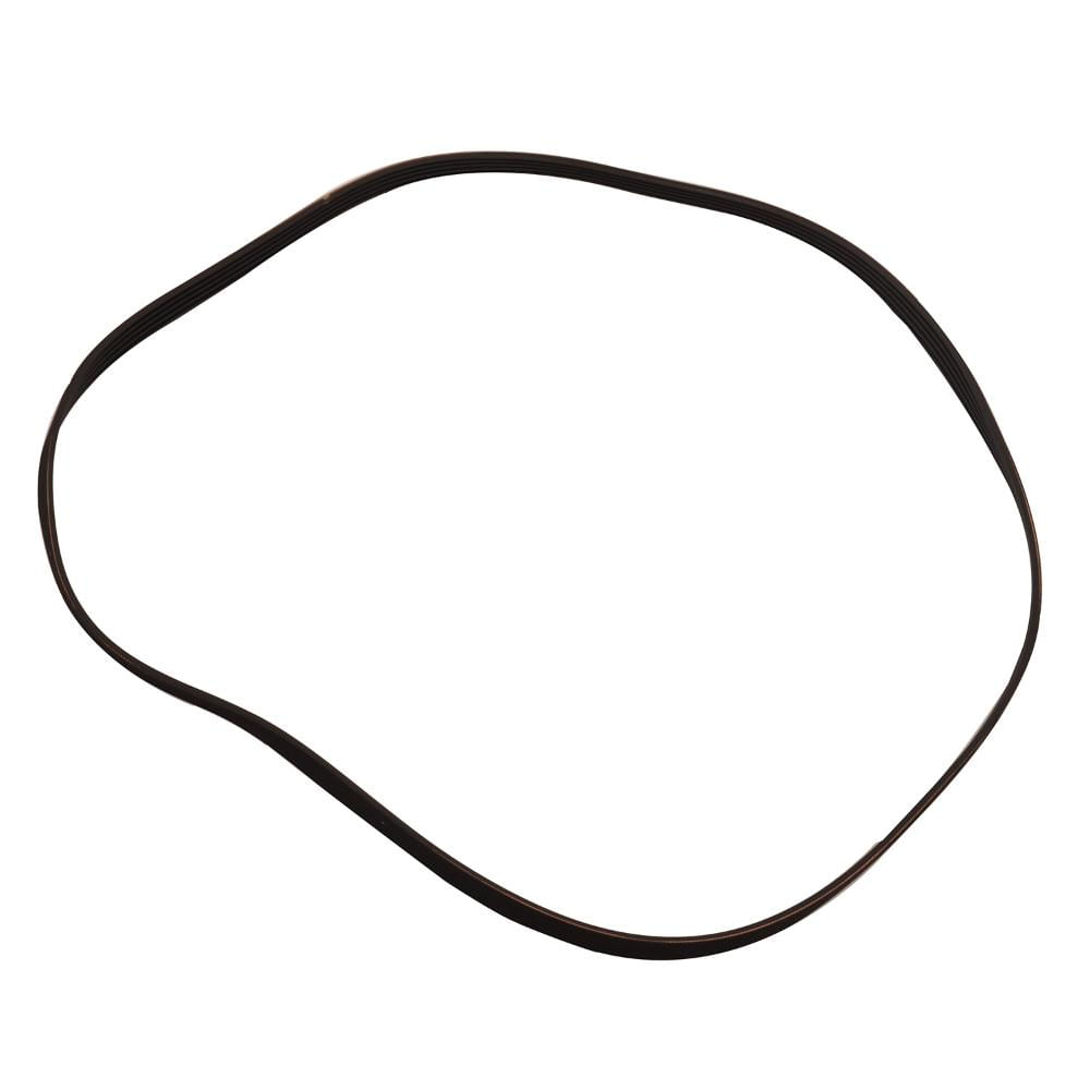 Washing Machine Drive Belt J00116172 - Hotpoint - Hotpoint